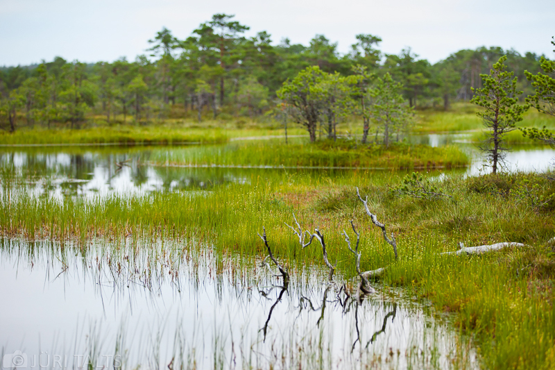 Minu hetked ...: Seli raba, Kilplala ja Äntu järved