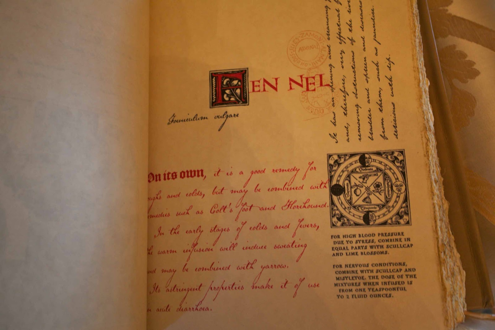 The Practical Magic Spell Book