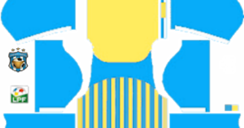 KIT AND LOGO FTS/DLS