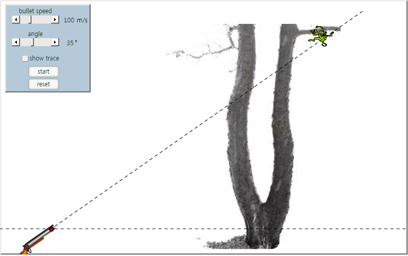 Projectile motion 'monkey hunting' simulation - Juany's Science Blog
