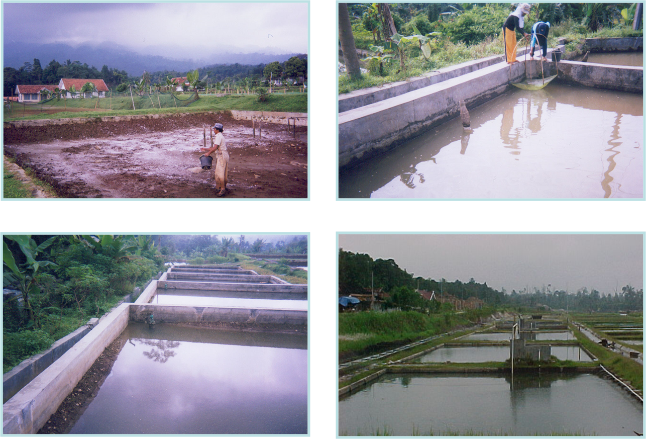Berbagai Sistem Akuakultur di Indonesia ~ Mabok Ikan