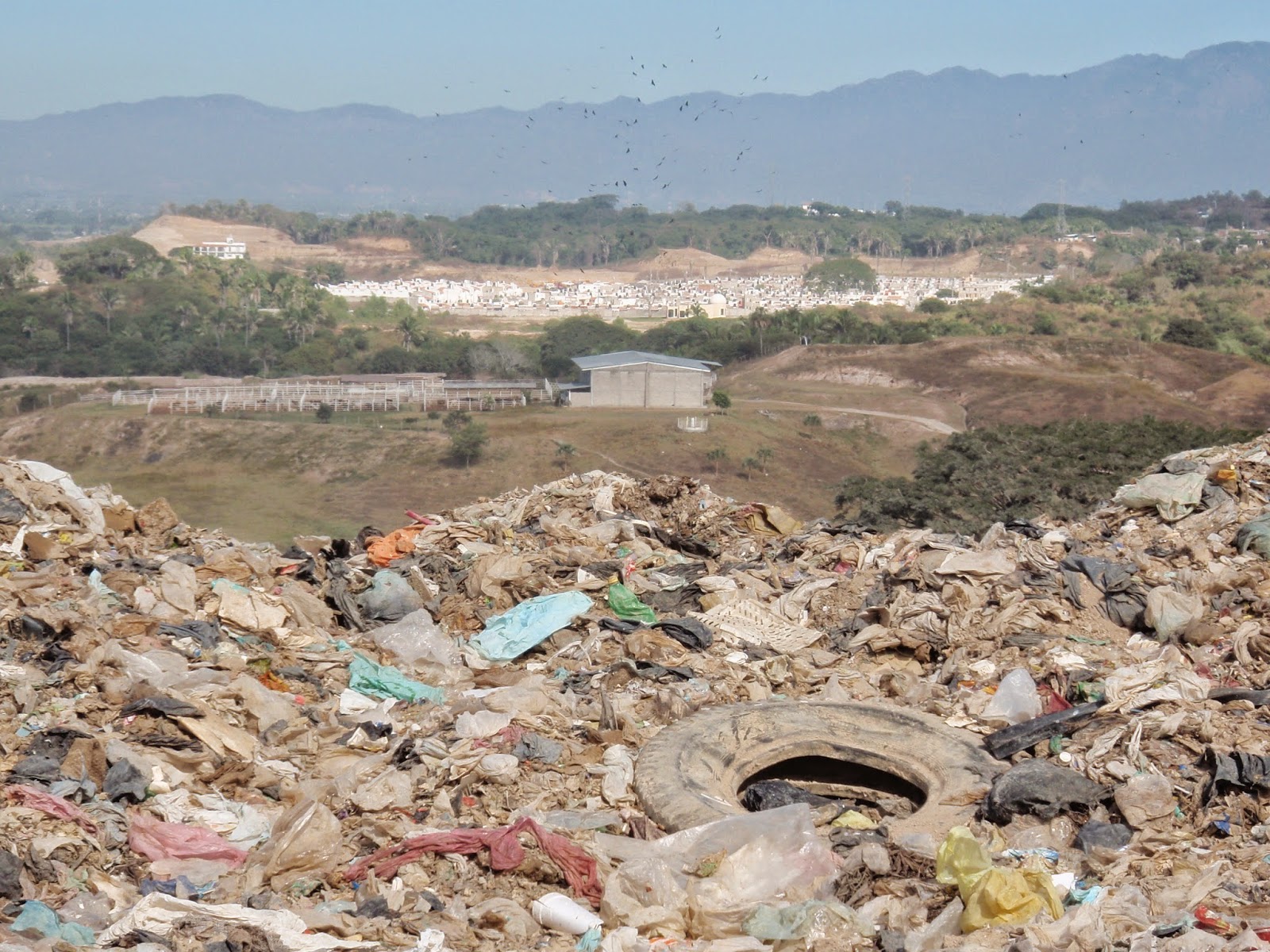 Murder is Everywhere: The dump