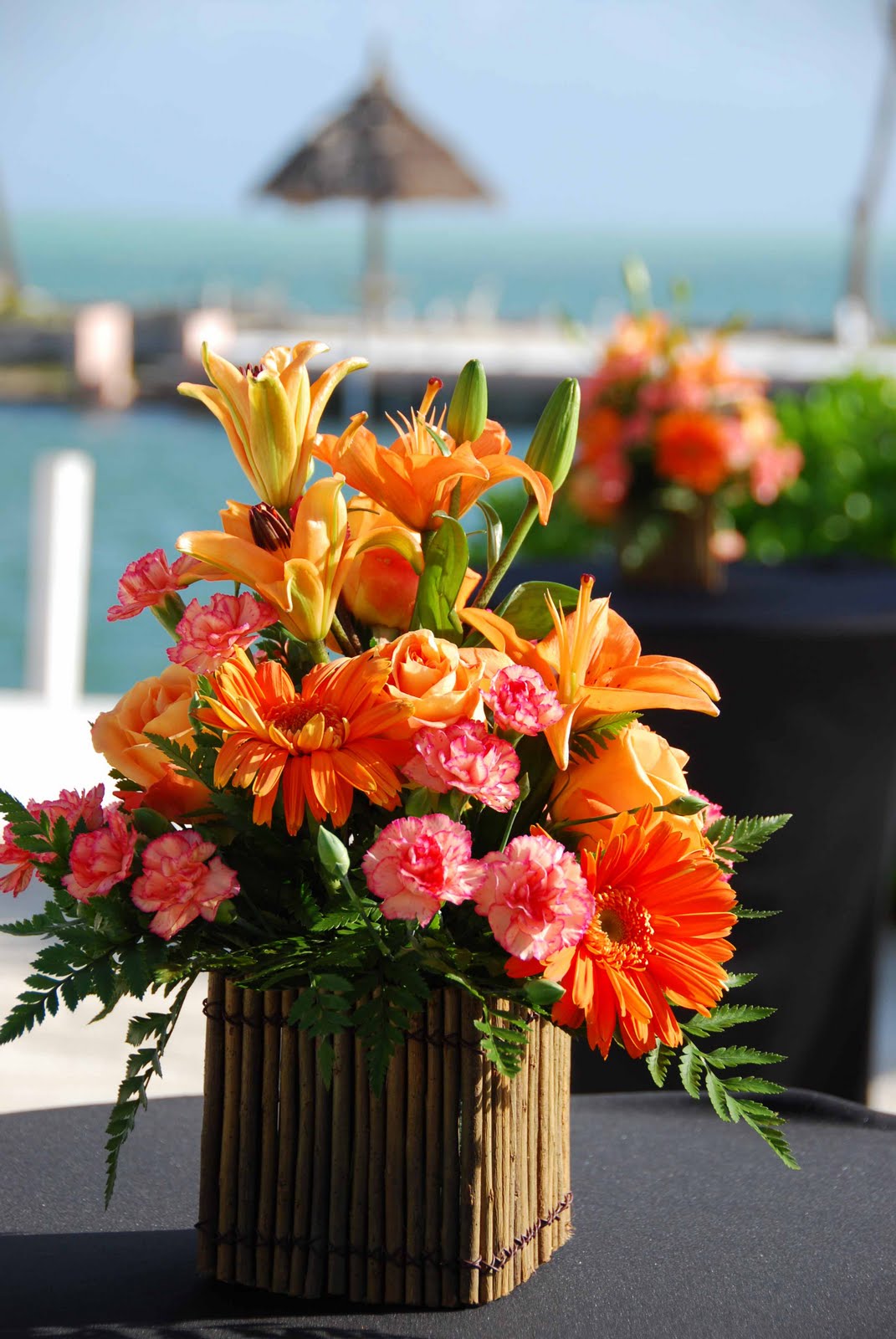 McLaughlin Photo and Video: Allison & Malin - Chesapeake Resort