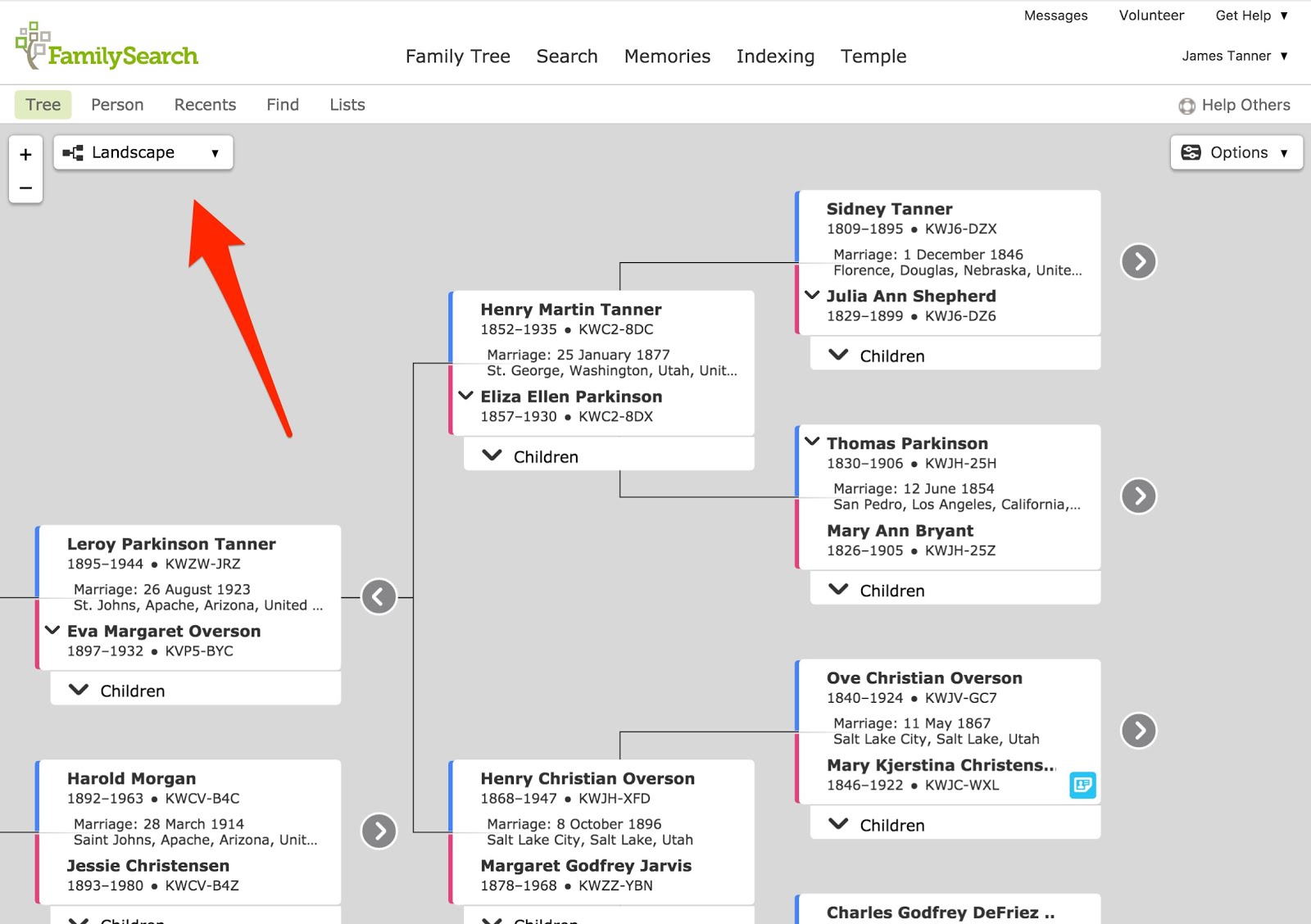 Familysearch Tree
