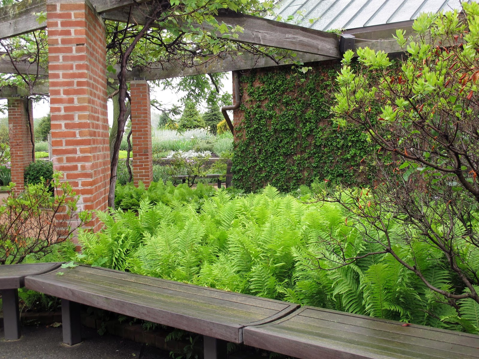 En el jardin: Jardín Botánico de Chicago: vale la pena.