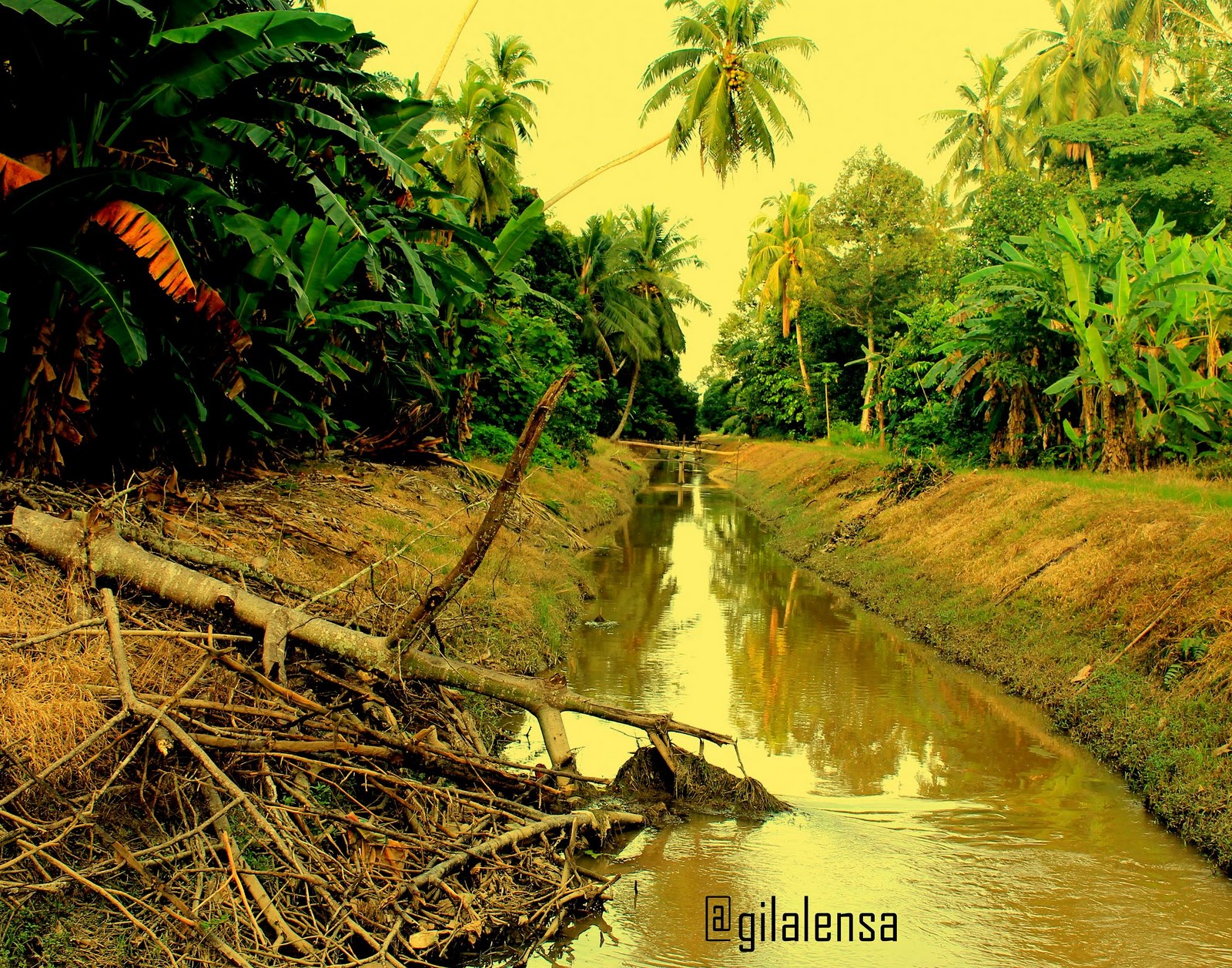 GILA GAMBAR: kampung parit 4 , simpang 4 semanggol