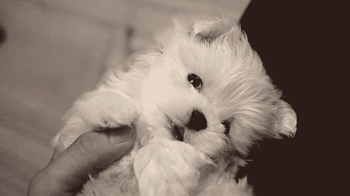 Menina Desmaiando Gif Tumblr