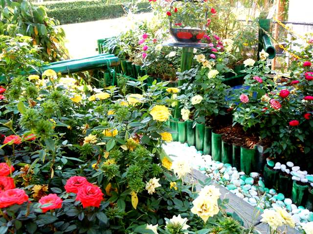 MPV LANDSKAP DAN NURSERI: ROS TETAP MENJADI PILIHAN...