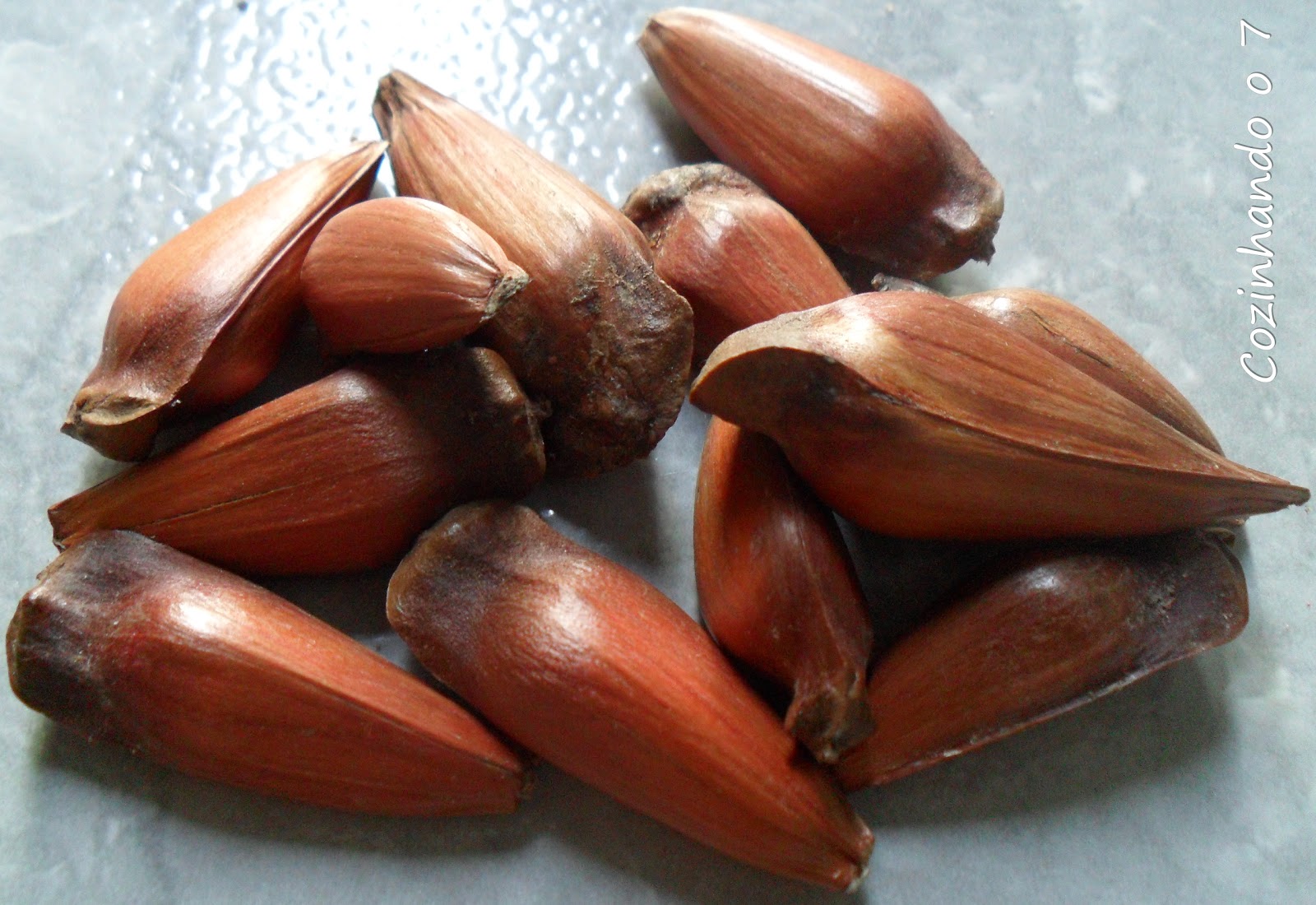 Pinhão! Aprenda a cozinhar e descascar | Cozinhando o 7