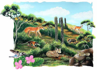 Ciencias Naturales: SELVAS SECAS