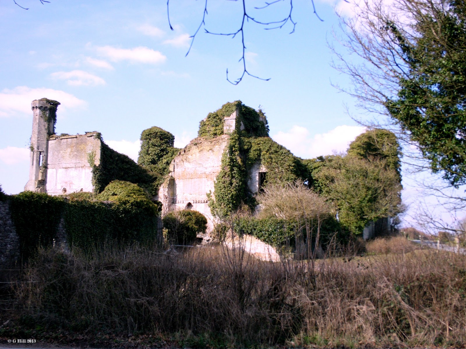 Ireland In Ruins: Moydrum Castle Co Westmeath