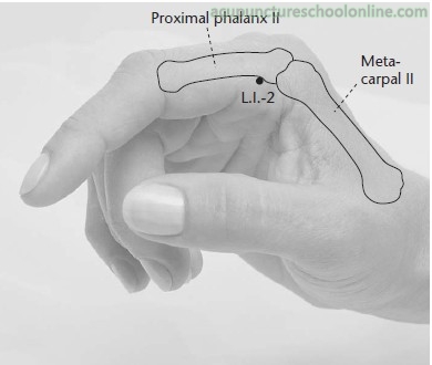 Jarum Sakti: Meridian Paru-paru & Usus Besar