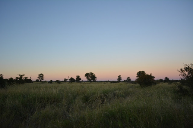 Do I Really Need That Rabies Shot...? : Kruger National Park--> Ha ...