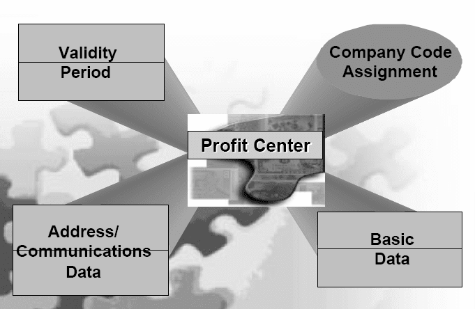 SAP Profit Center Basic Settings and Structure - SAP ABAP