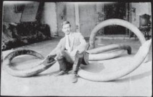 Mammoth Tales: The Ninety-Foot Plum Tree, Filling Some Gaps