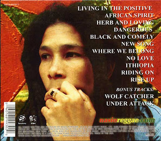 Rasta Reggae Music: Nasio Fontaine - Living In The Positive