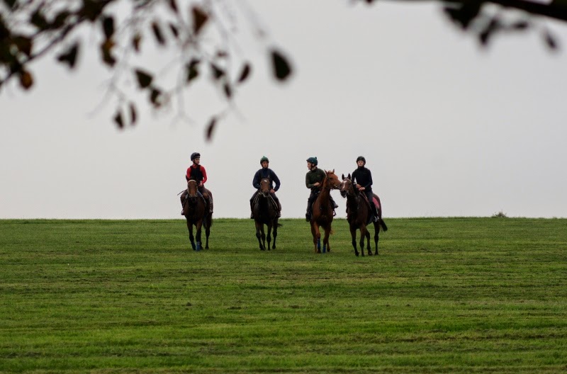 Julia Feilden Racing: Back to business