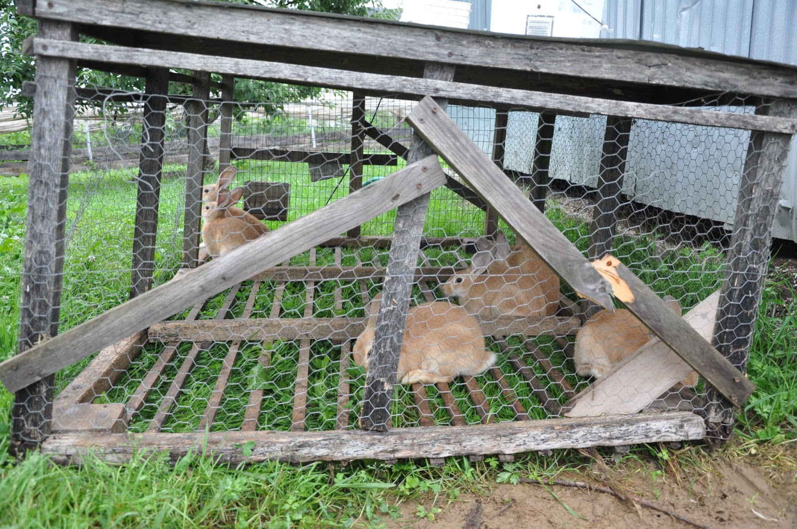 Frontier Farm: The way it should be done.. by the man they call "The ...