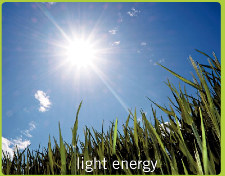 Mi primer año en Red XXI: TYPES OF ENERGY (Unit 4-Science Y6)