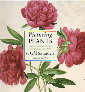 The Flower Appreciation Society: Appreciating.. Picturing Plants by ...