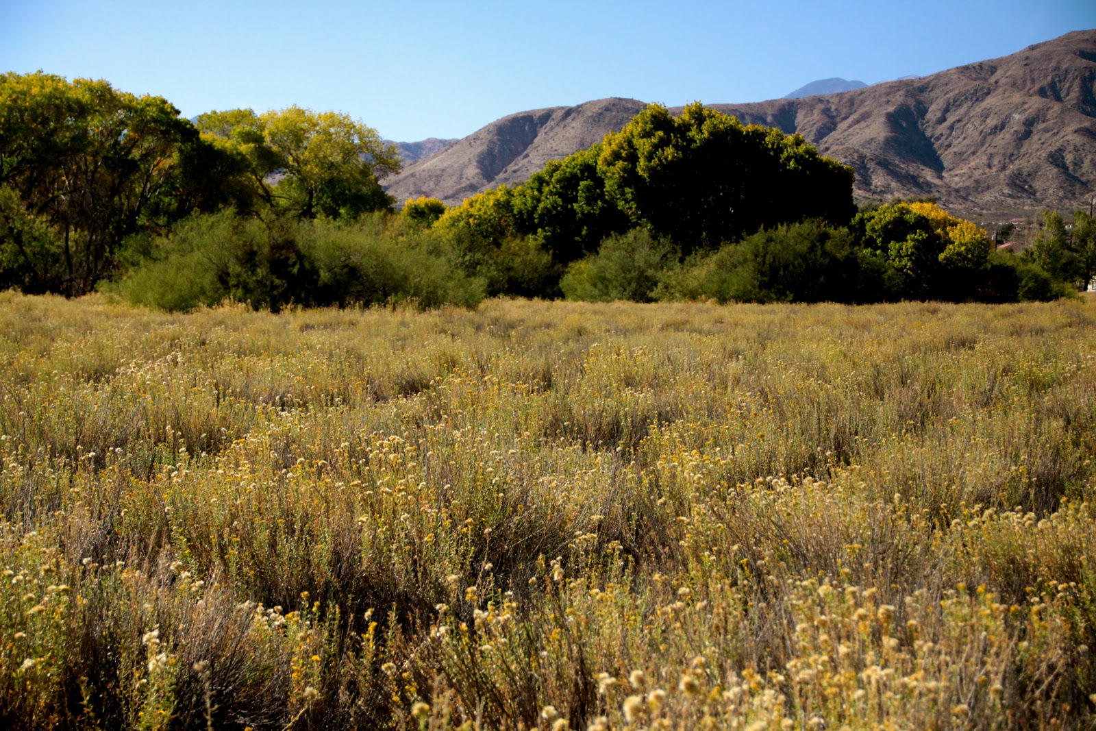 My Scenic Byway: Fall in the Desert