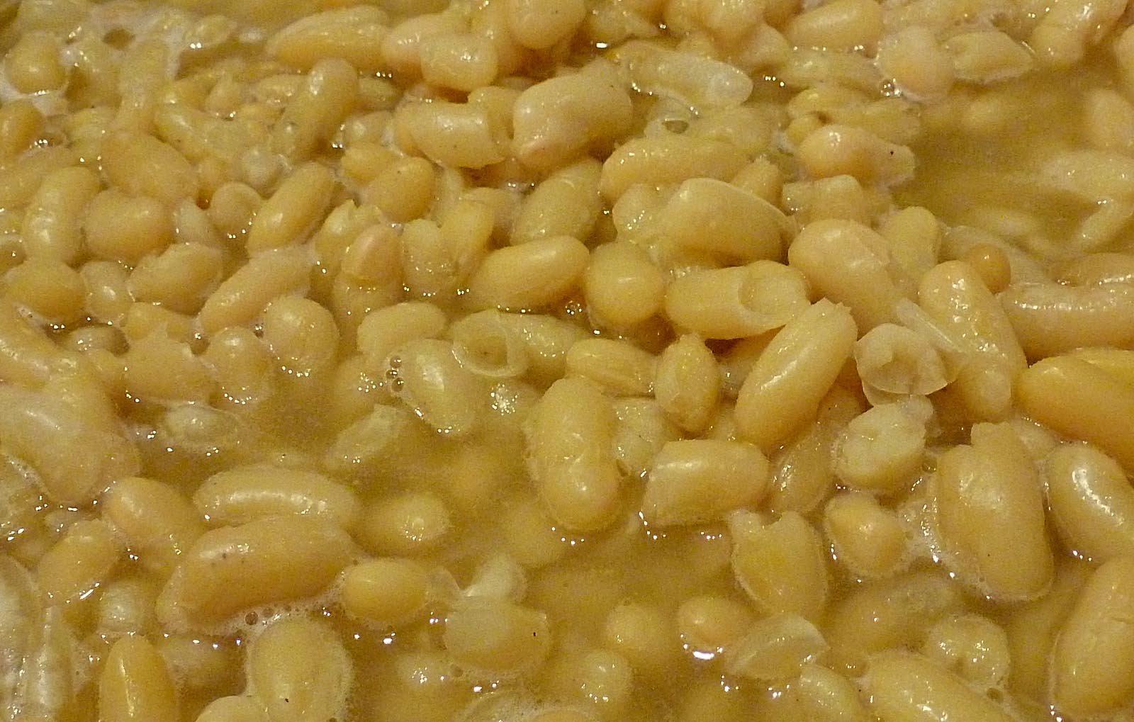 Living The Life In Saint Aignan A Question About Beans living-the-life-in-saint-aignan-a-question-about-beans