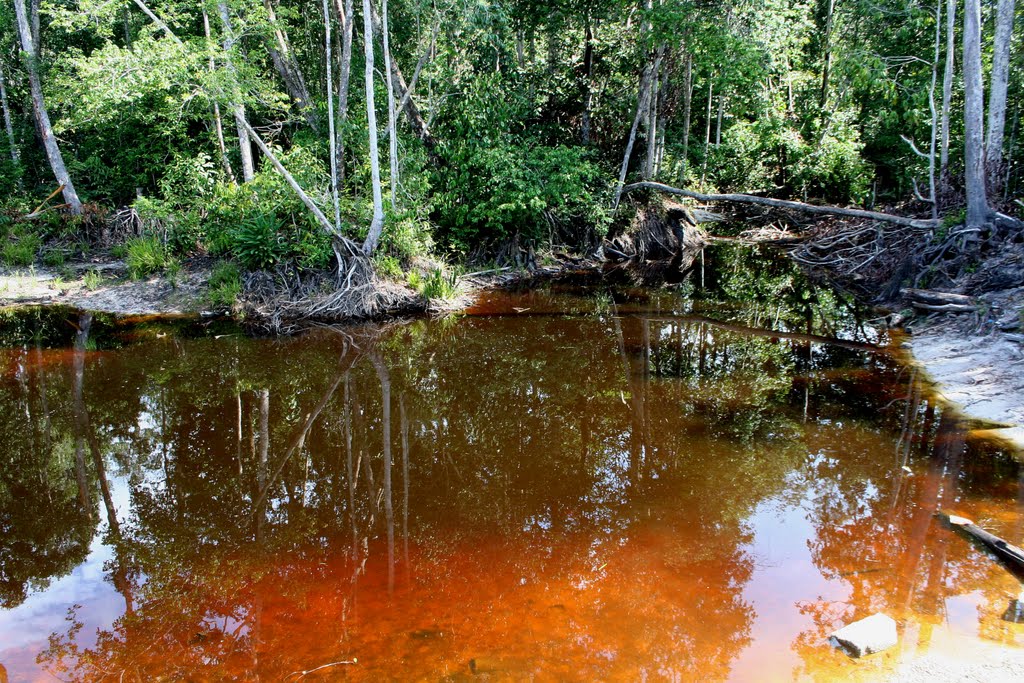 INIRIDA: INÍRIDA, GUAINIA