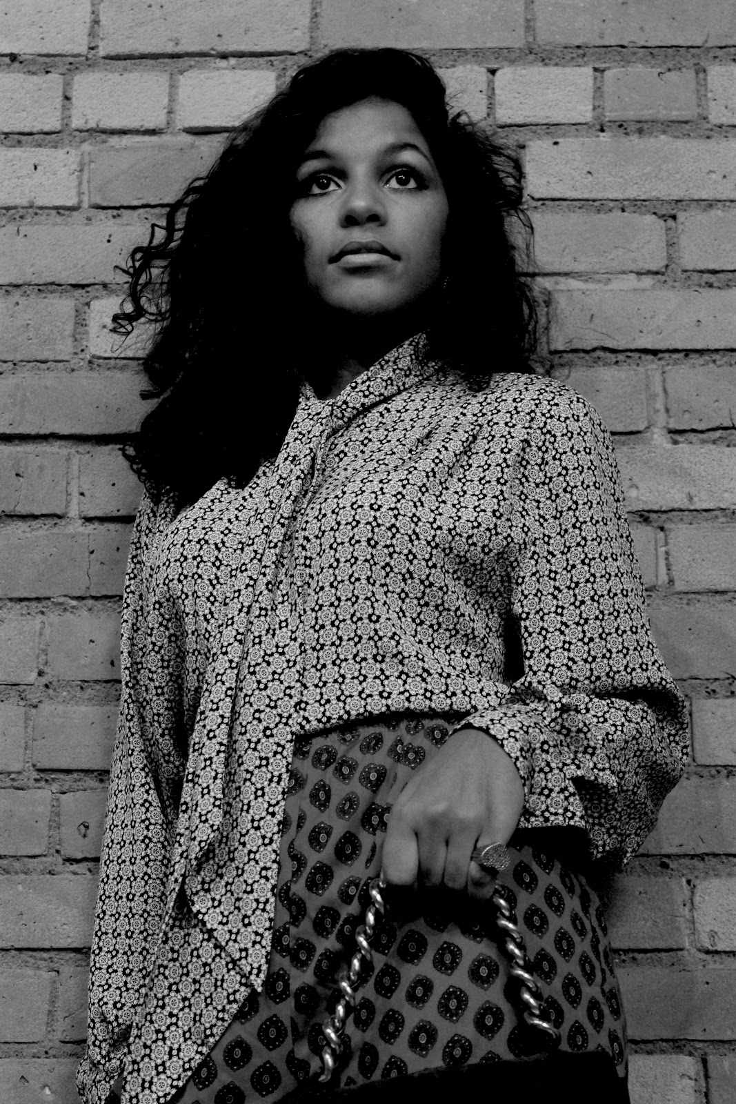 Moon Daisy at the Disco