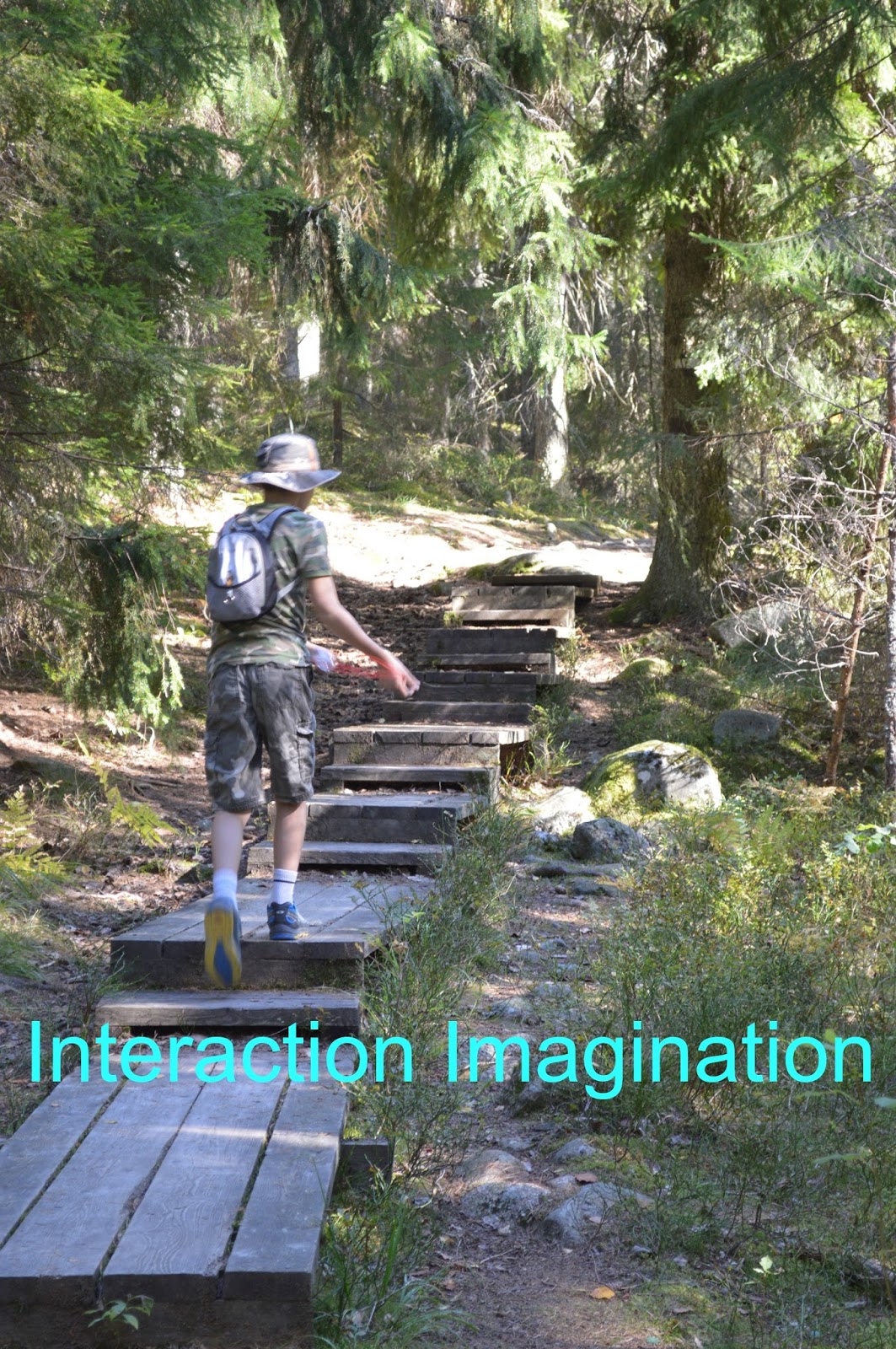 Interaction Imagination: Virgin Forest Exploration