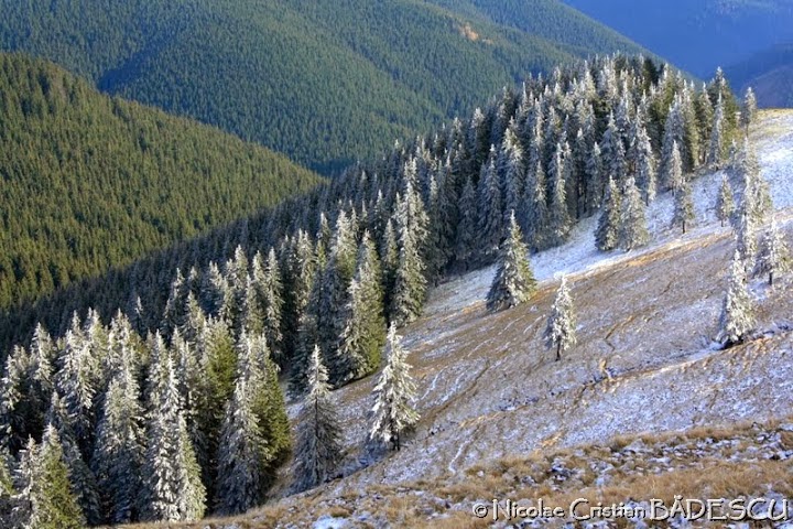 Itinerarii montane și argumentaţii cotidiene : Dinspre Bucegi spre ...