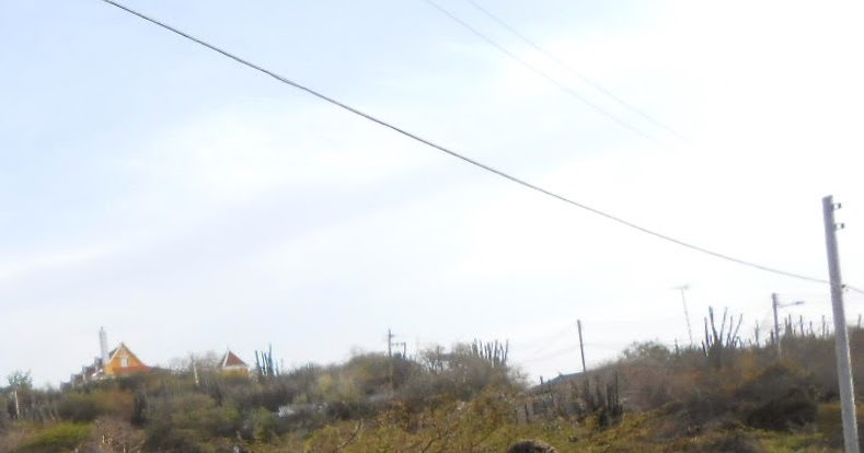 Hiking Curaçao - The Trails: Kayuda Rooi,Regenbak, inloopwaterput ...