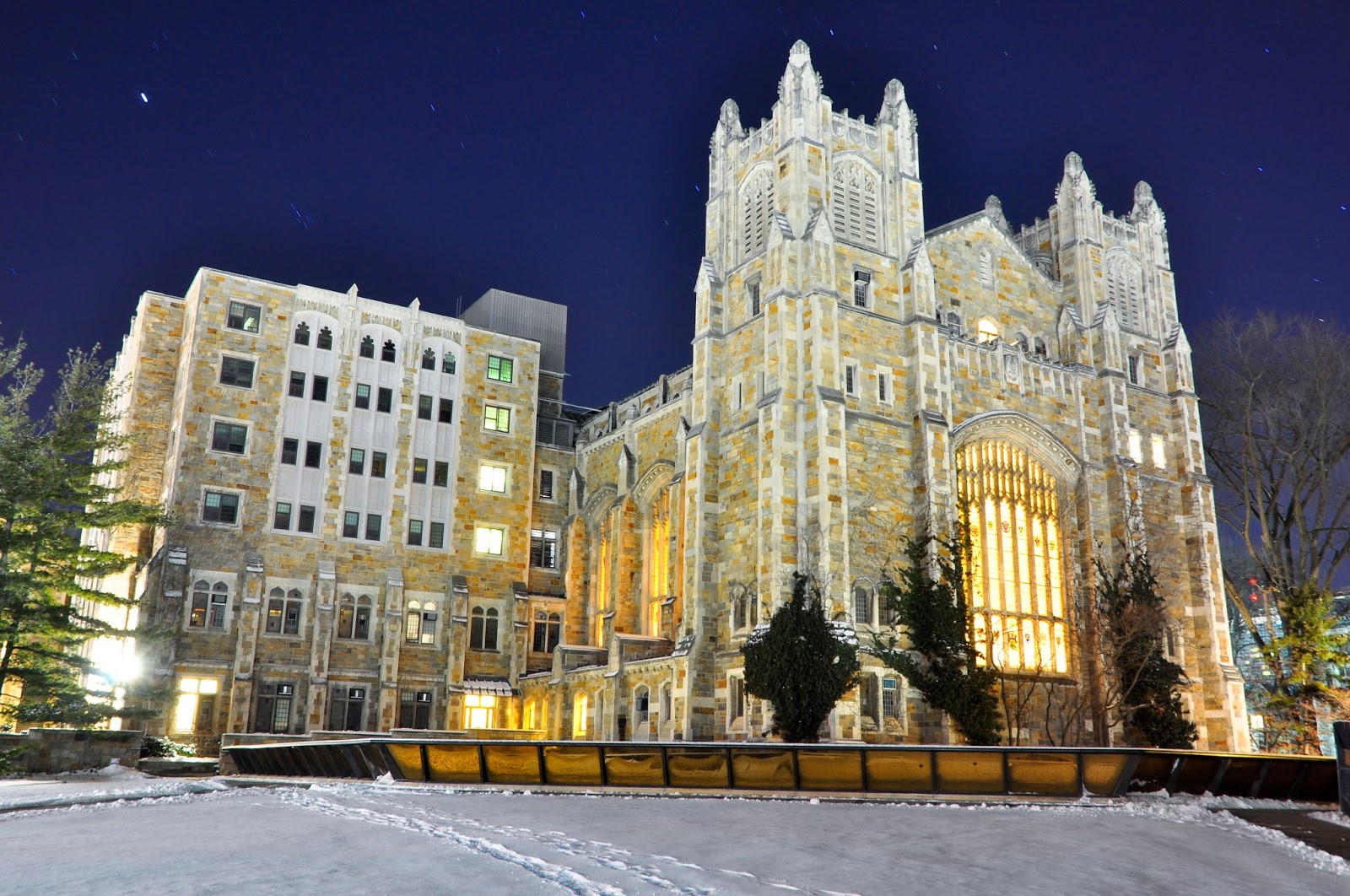 glass case of emotion: why Gothic on university campus?