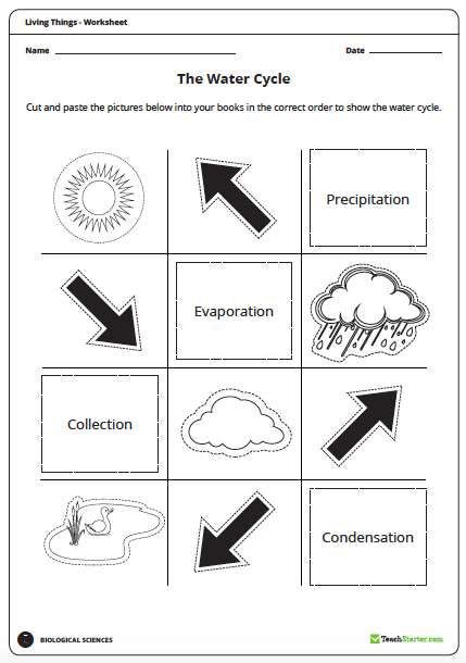Being Water Wise {Junior Primary Science Ideas} - Teacher Types