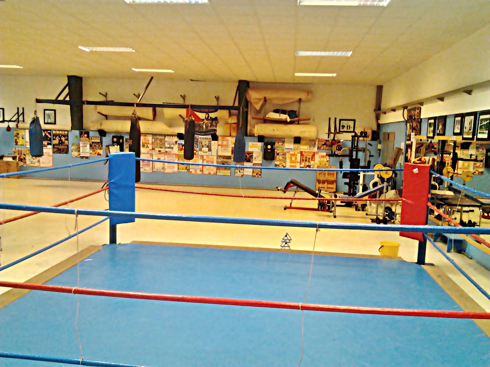 Gimnasio de Boxeo en Lugo: Boxing Club Cidade de Lugo