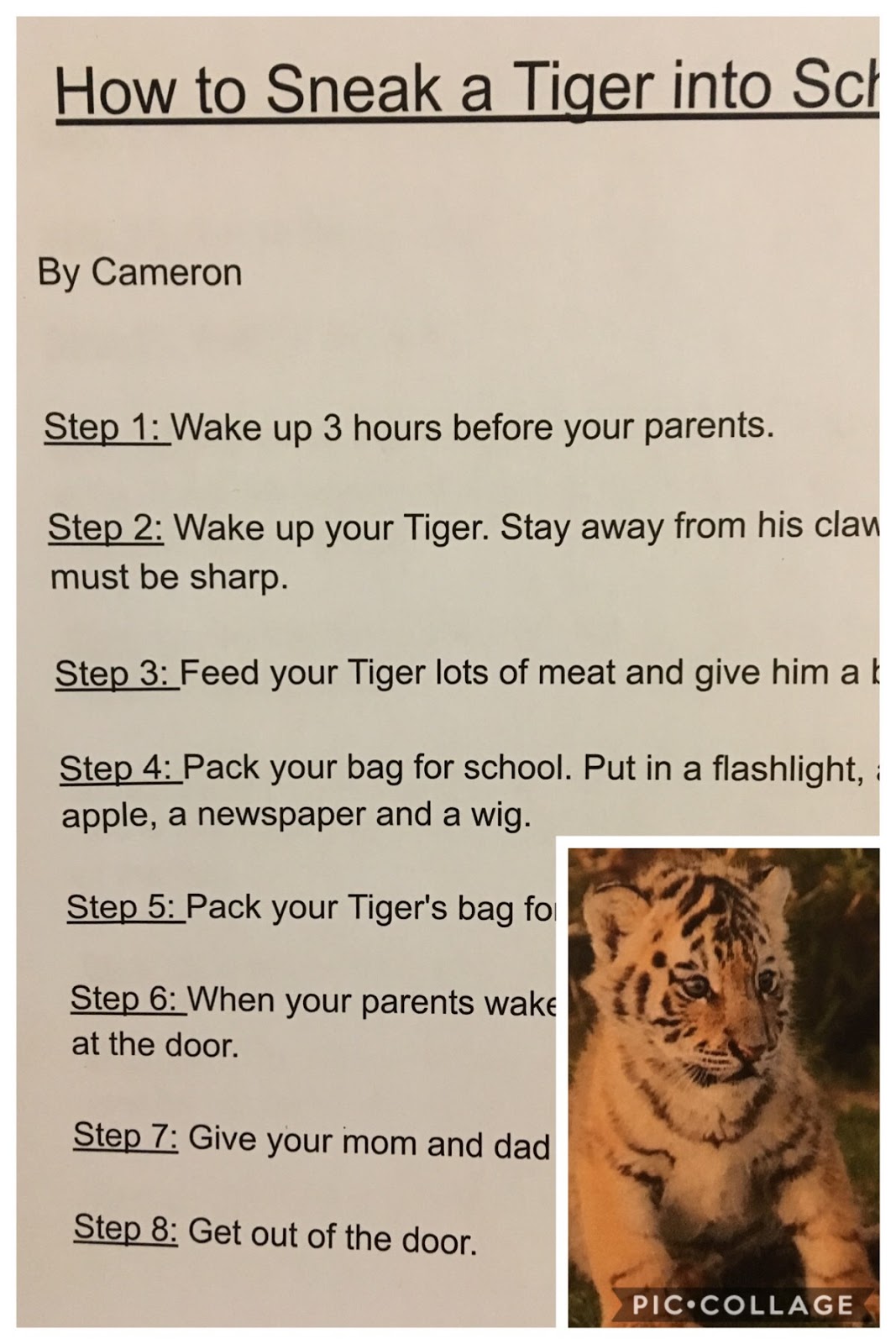 Ms. Wills' 2/3W Class!: 2018