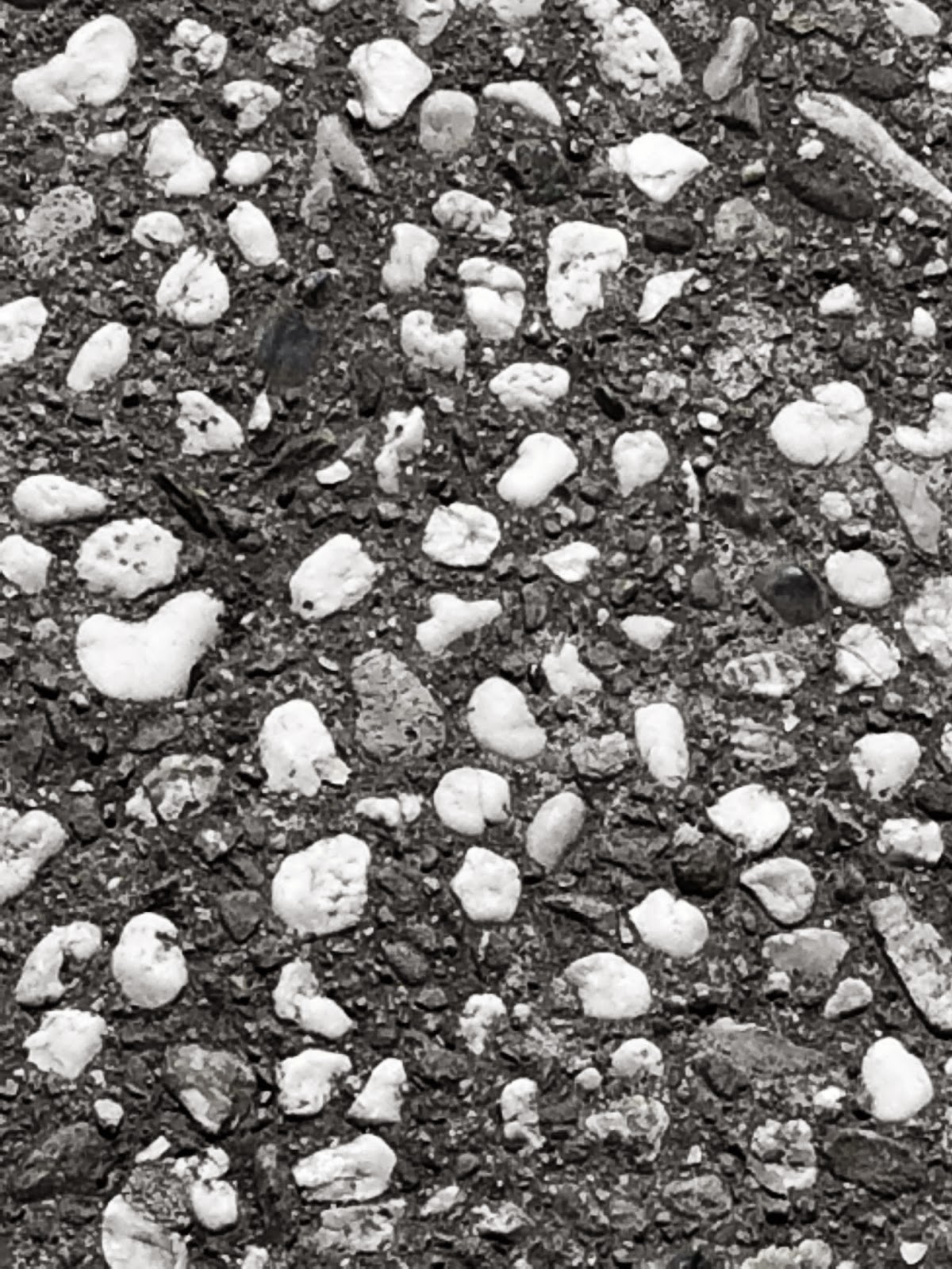 Neha's Photography Blog: Principles of Design: Rhythm