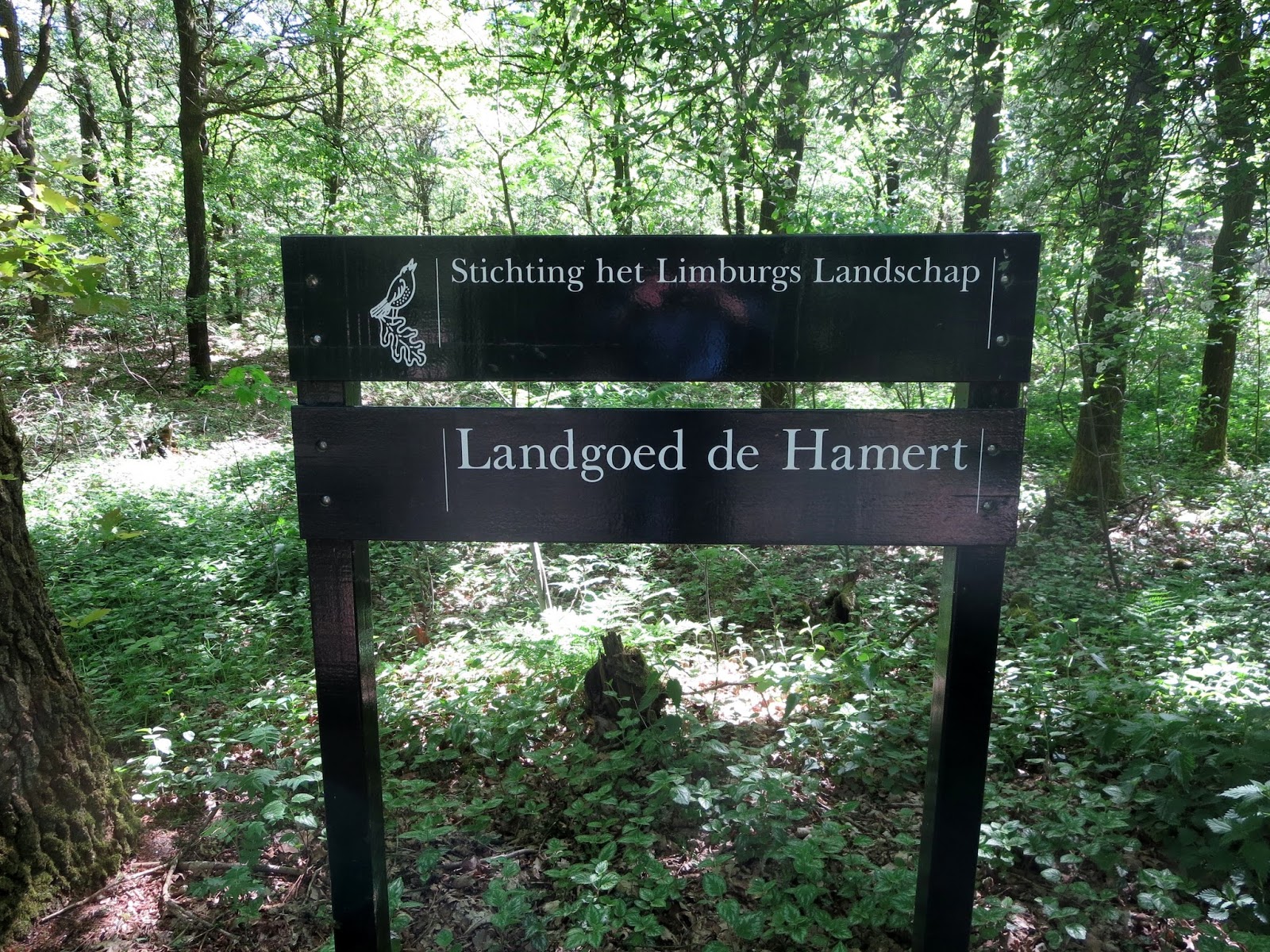 TOUR DE FRANS: May 2018