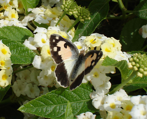 hishamelhennawycv: International Photograph Exhibitions