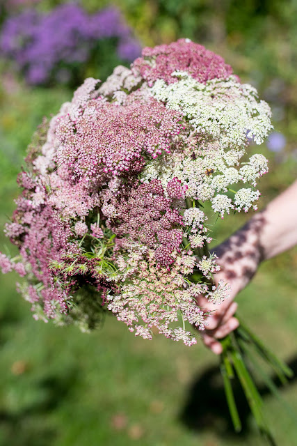 Fresh flowers from your garden to your kitchen table