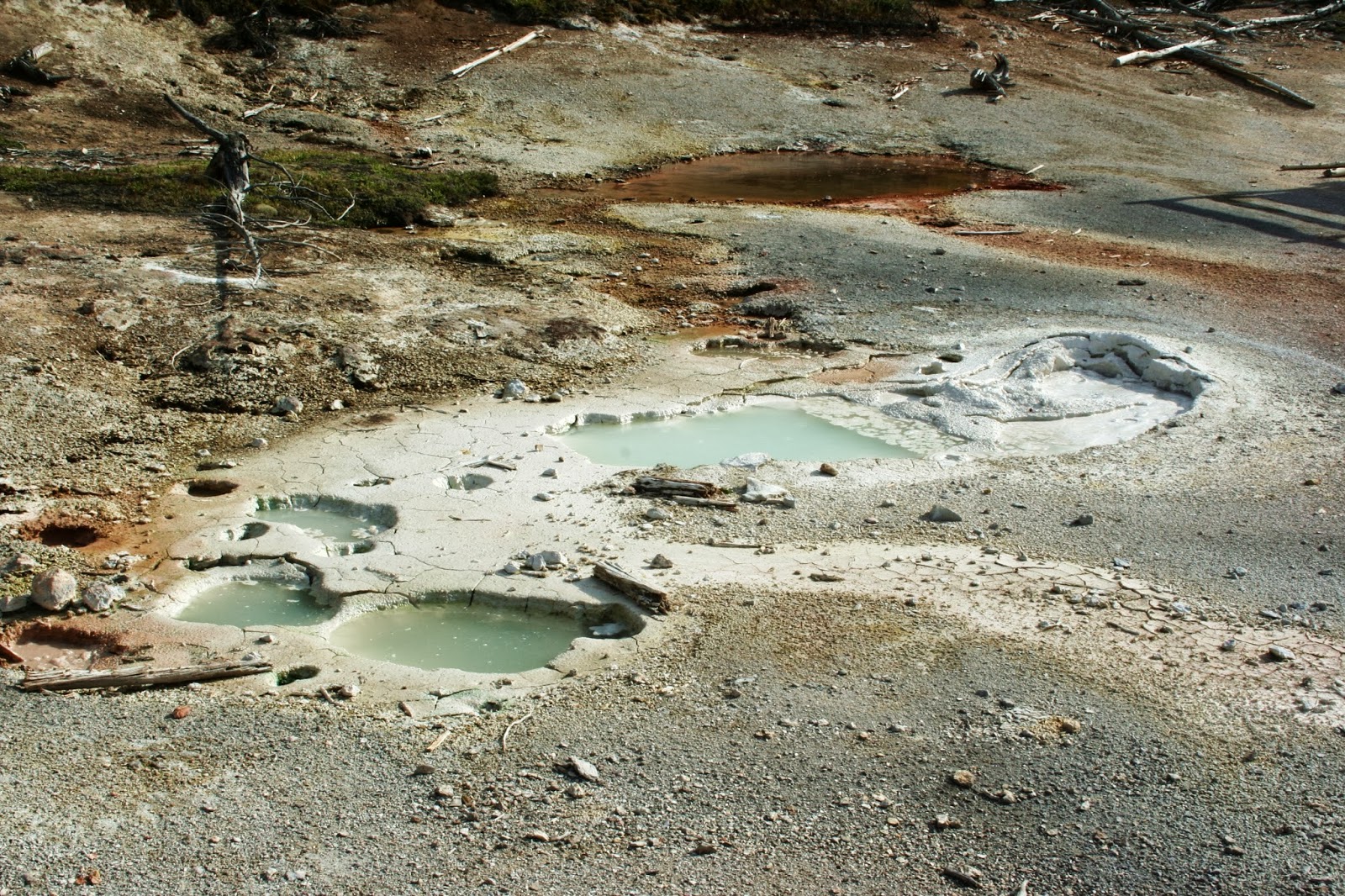 The Schrag Blog: Yellowstone Day 3 (Artist's Paint Pots).