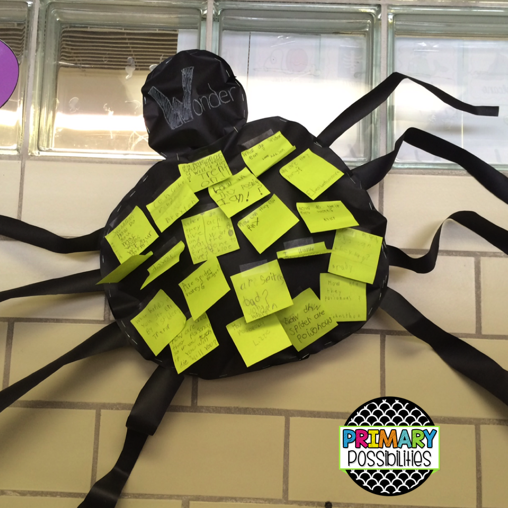 Primary Possibilities: Spiders! Spiders! Spiders!