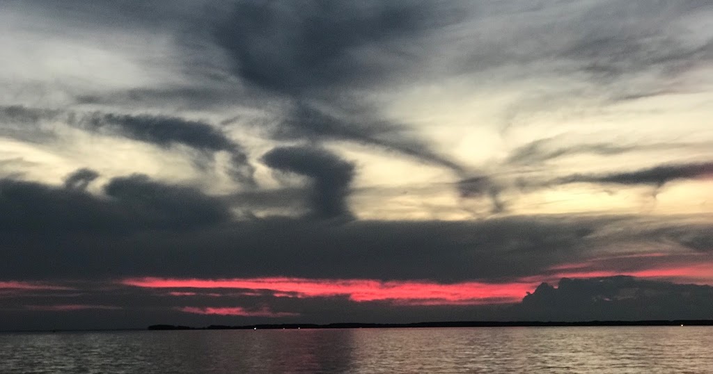 self-portrait in the present sea journal: Little Choptank River: anchored