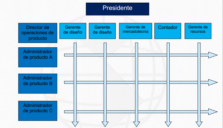 Estructura Organizacional Matricial Estructura Organizacional Matricial