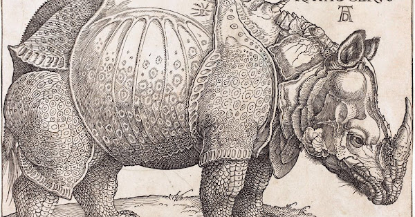 Dürer's Rhinoceros: A 16th-Century Viral Fake | Amusing Planet