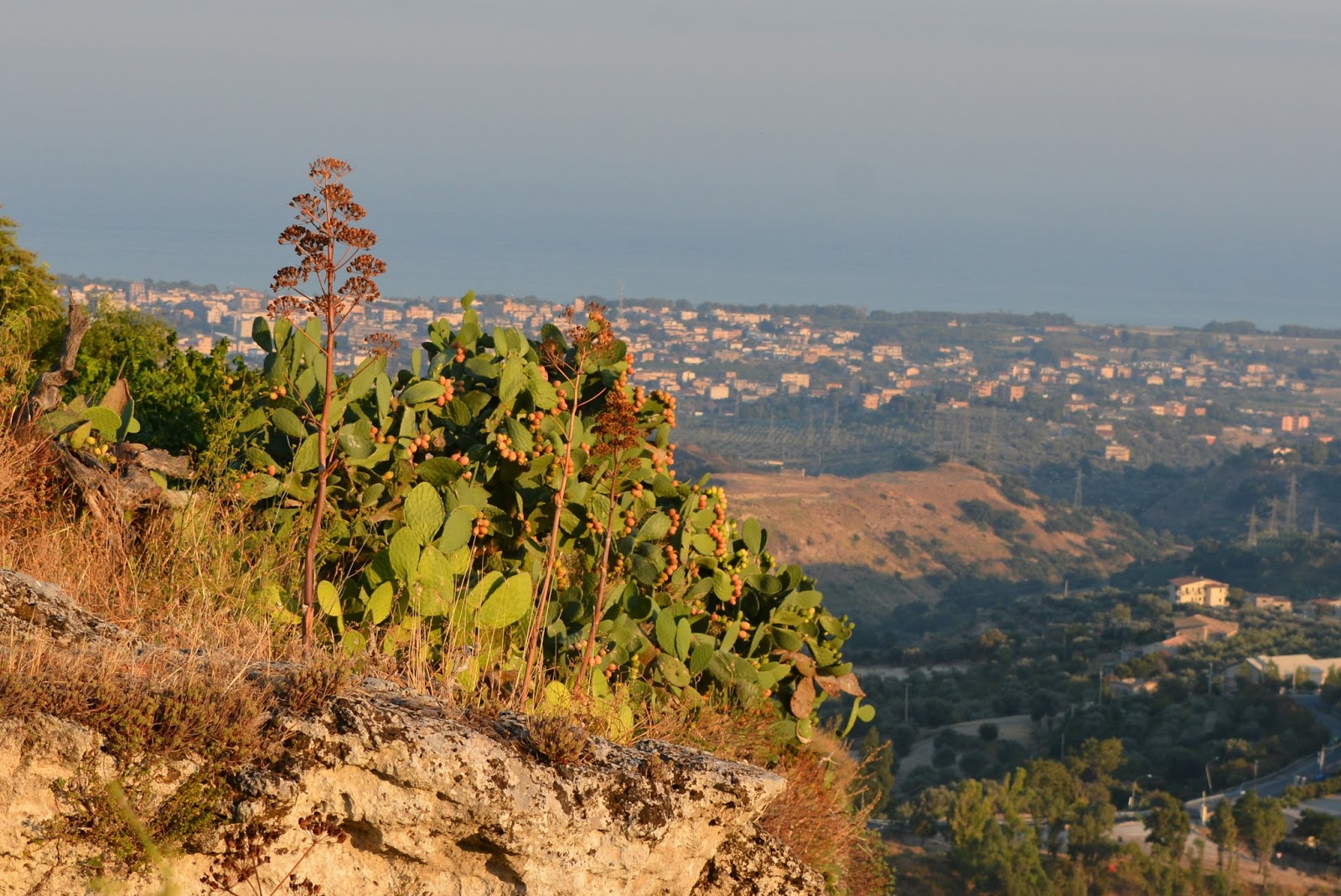 Mille Fiori Favoriti: The Beautiful Town of Gerace, Calabria, Italy
