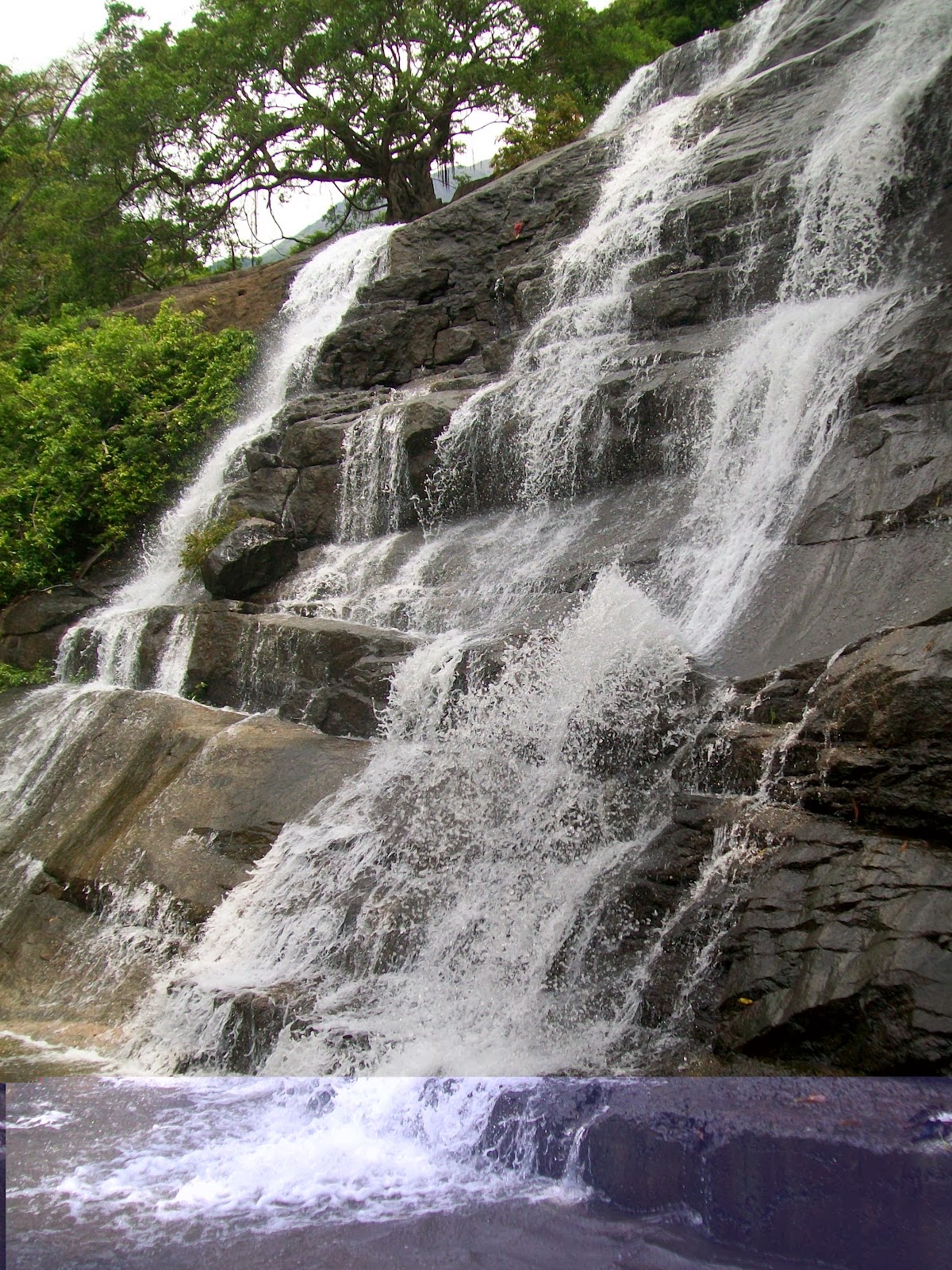 Tamilnadu Tourism: Megamalai