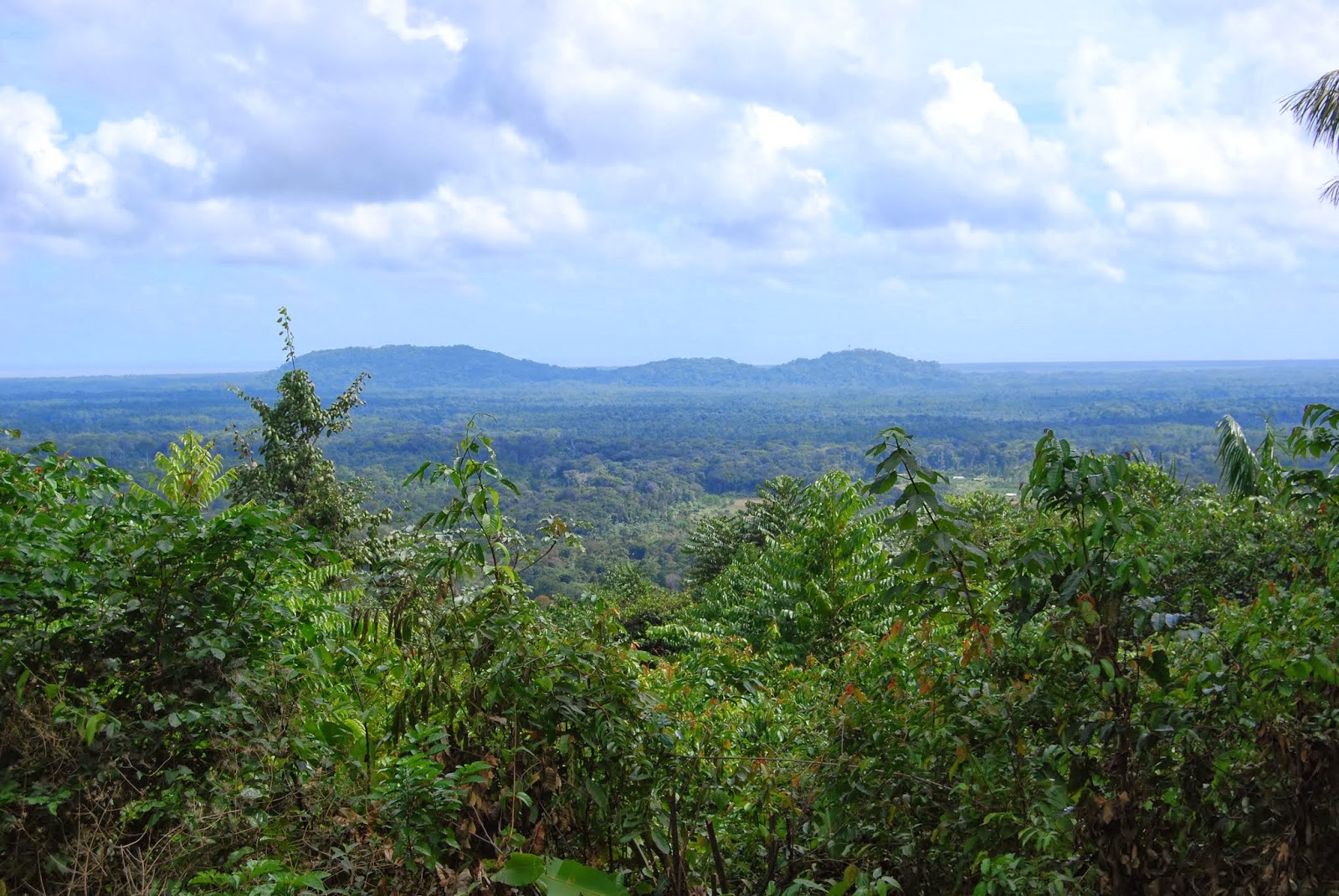 Visite de la Guyane: La montagne des singes