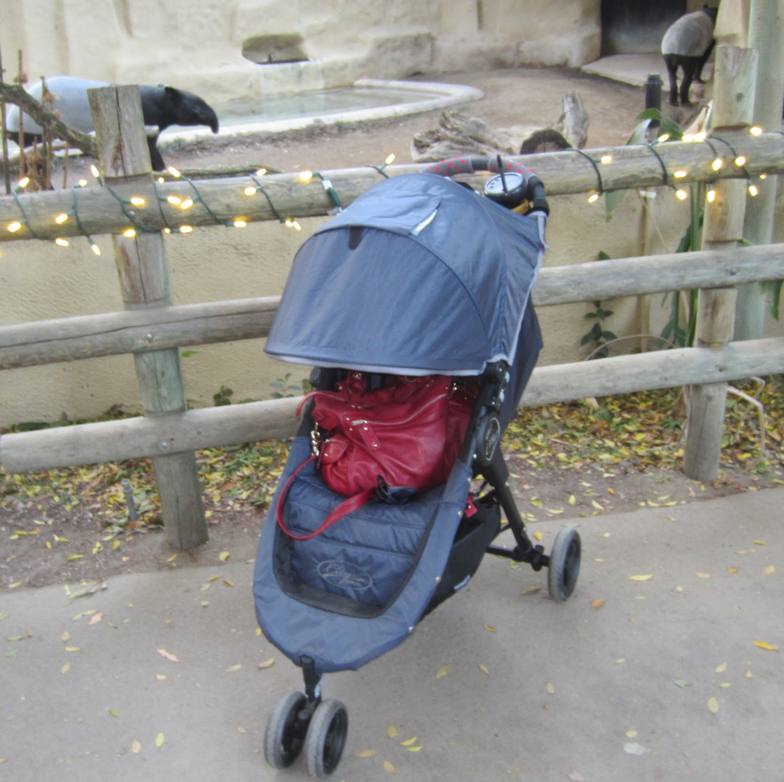StrollerQueenReviews: Baby Jogger City Micro Review
