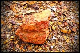 Ampliación de biología: Rocas.