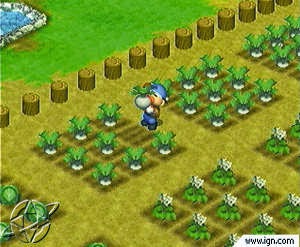 Spring crop / plant (spring) harvest moon back to nature ~ Harvest Moon ...